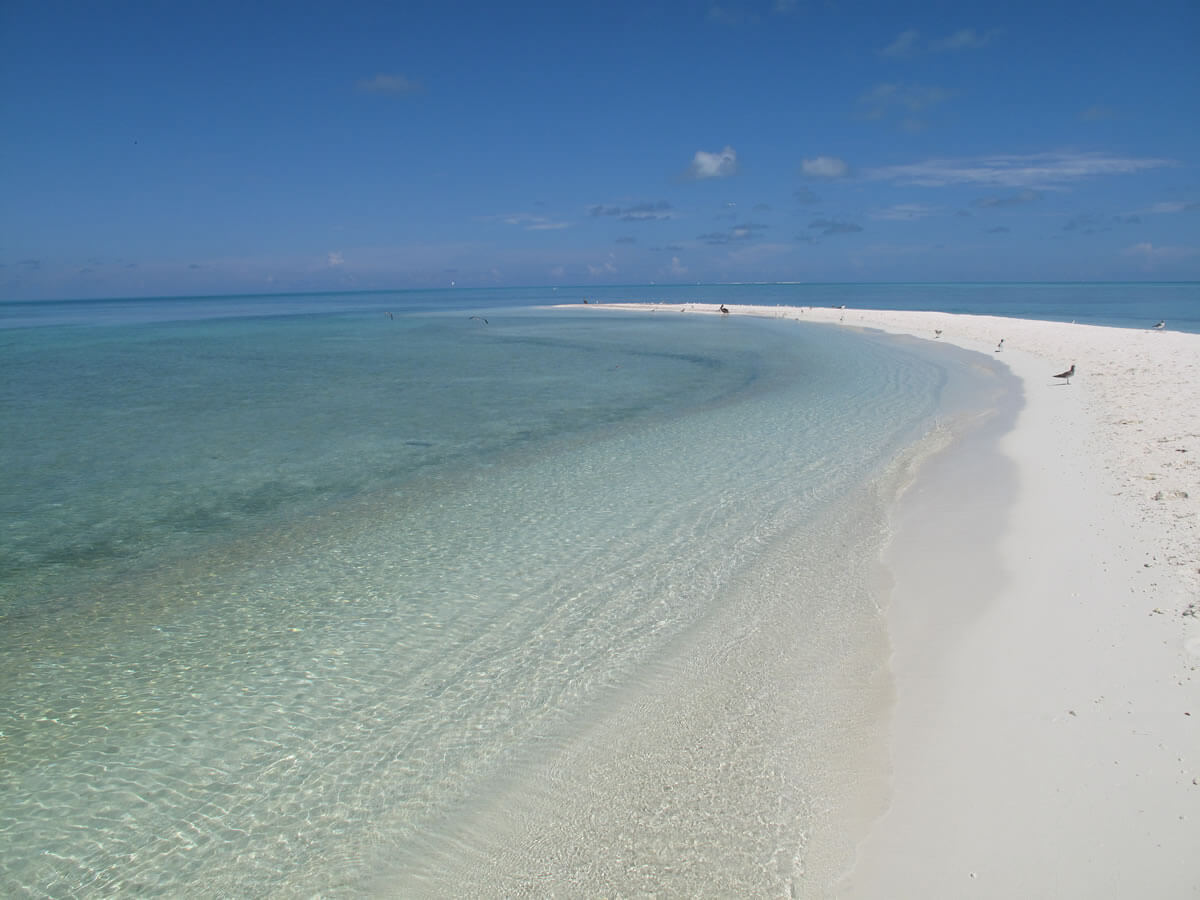 Arrecife Alacranes National Park & Reserve | LAC Geo