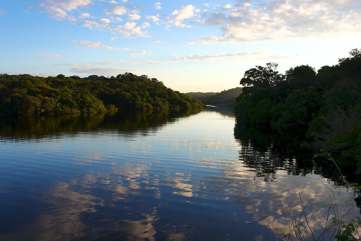Central Amazon Conservation Complex: Guardian of the Amazon | LAC Geo