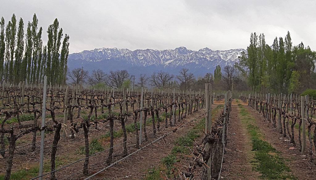 The Pampas: South America's Verdant Canvas | LAC Geo