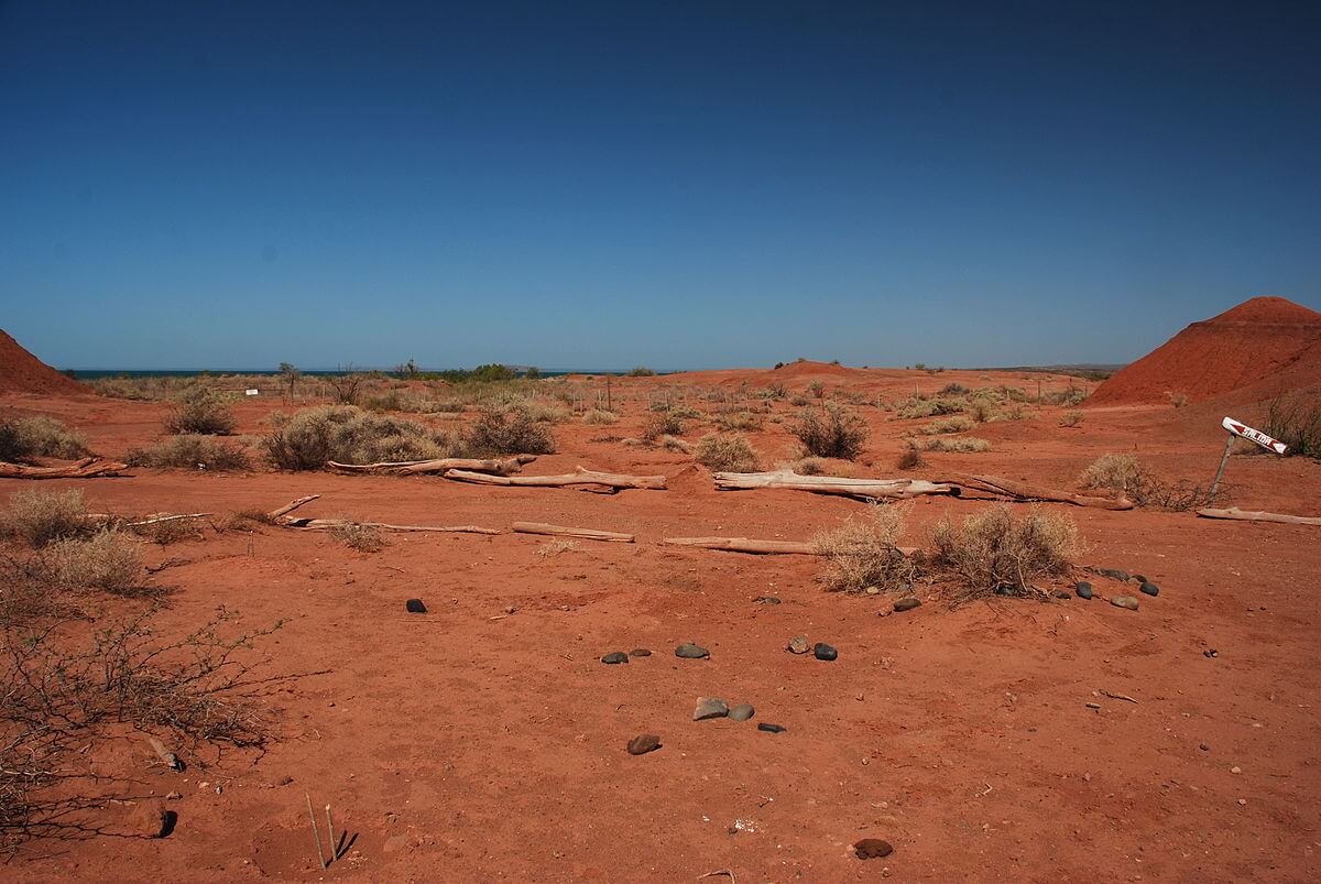 The Argentine Monte: A Journey Through a Desert Oasis | LAC Geo