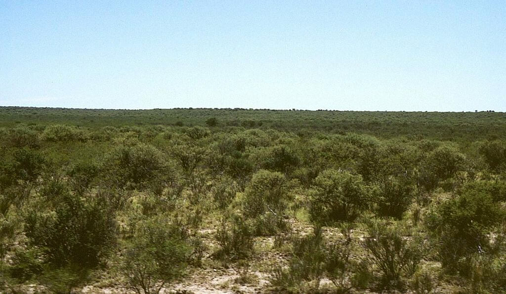 The Argentine Monte: A Journey Through a Desert Oasis | LAC Geo