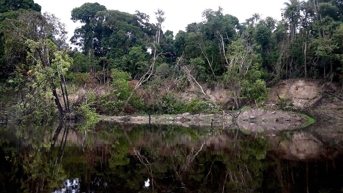Central Amazon Conservation Complex: Guardian of the Amazon | LAC Geo