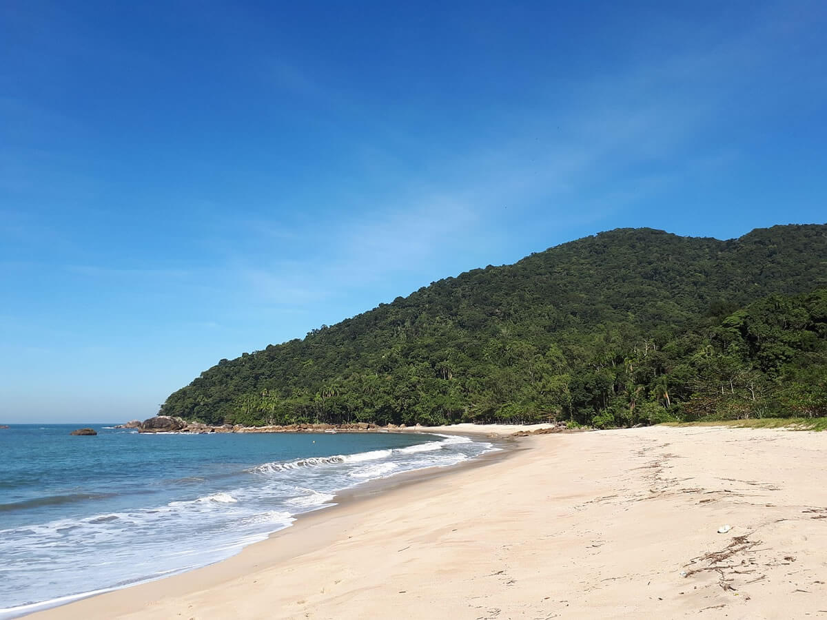 Atlantic Forest Southeast Reserves of Brazil: Biodiversity Hotspot ...