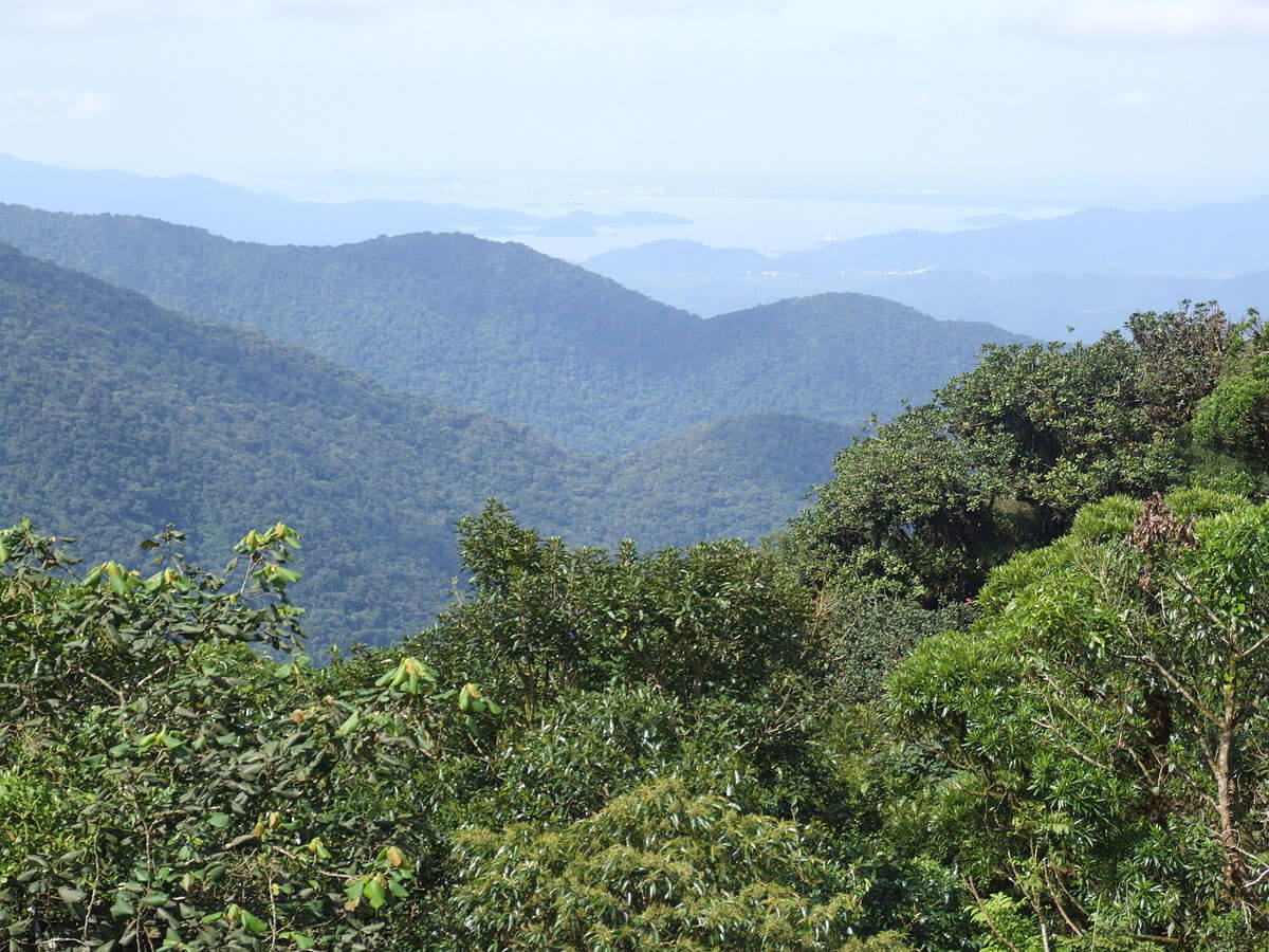 Mata Atlântica Biosphere Reserve: Brazil's Crown Jewel | LAC Geo