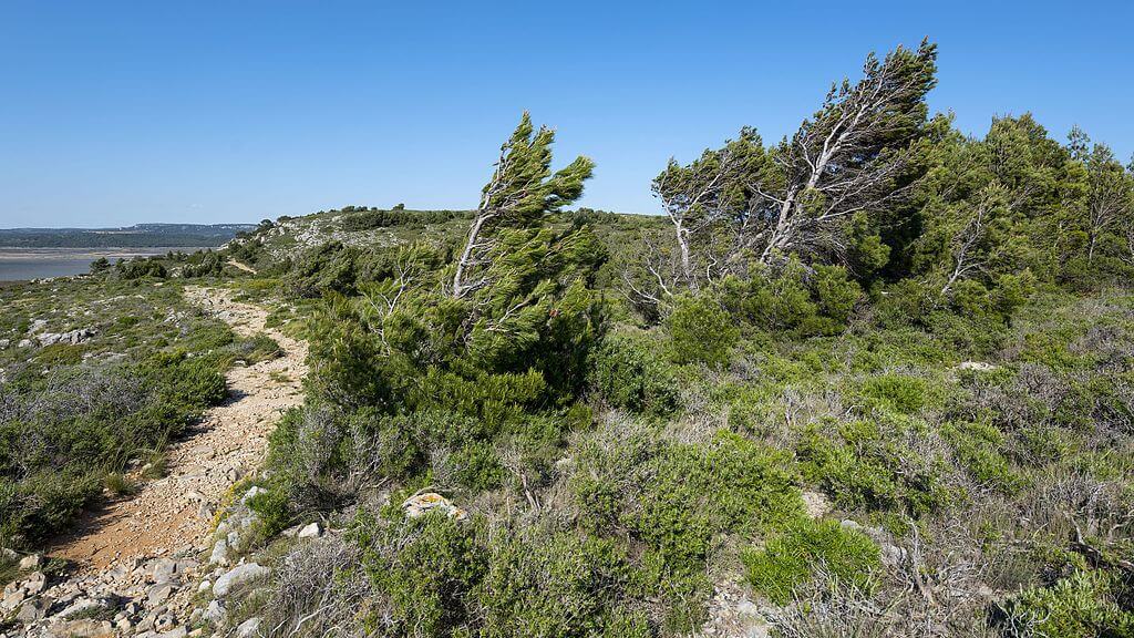 Saint-Martin National Nature Reserve: Preserving the Jewel of the ...
