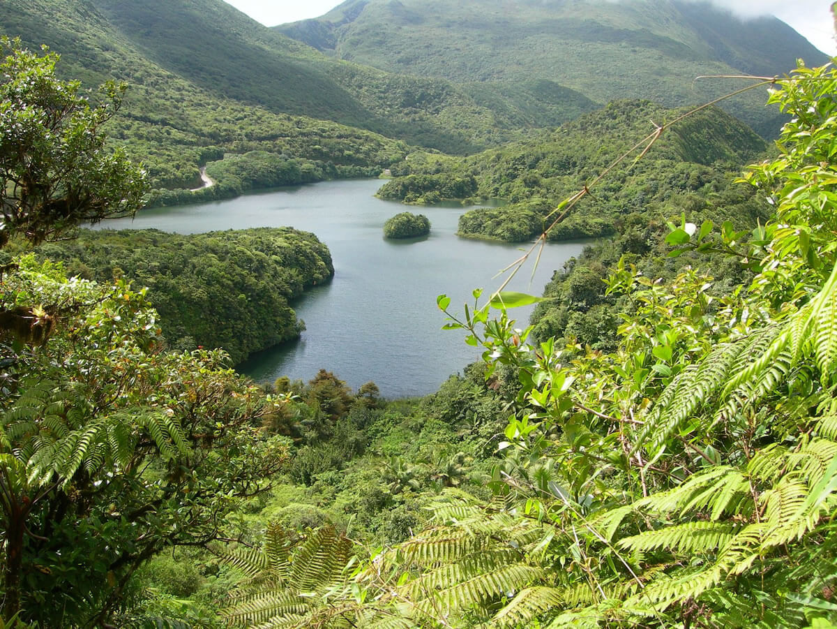 Morne Trois Pitons National Park: Dominica's Masterpiece | LAC Geo