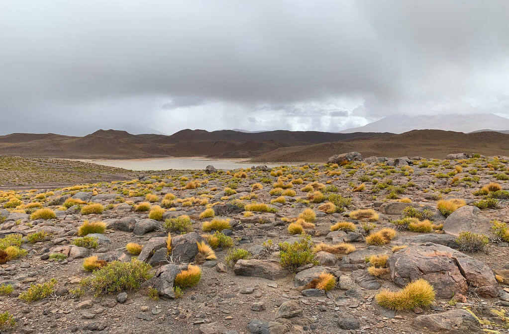The Arid Diagonal: South America's Great Drylands | LAC Geo