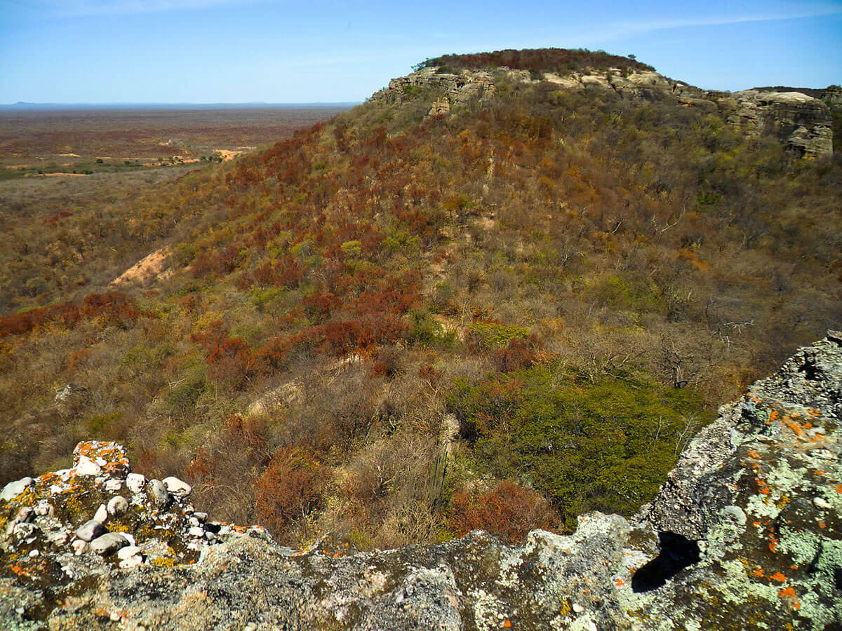 Caatinga Biosphere Reserve: Embracing the White Forest | LAC Geo