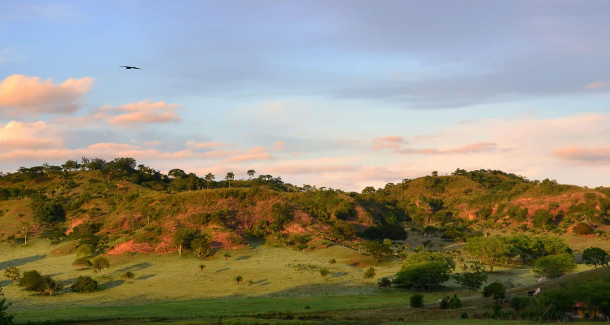 Caatinga Biosphere Reserve: Embracing the White Forest | LAC Geo