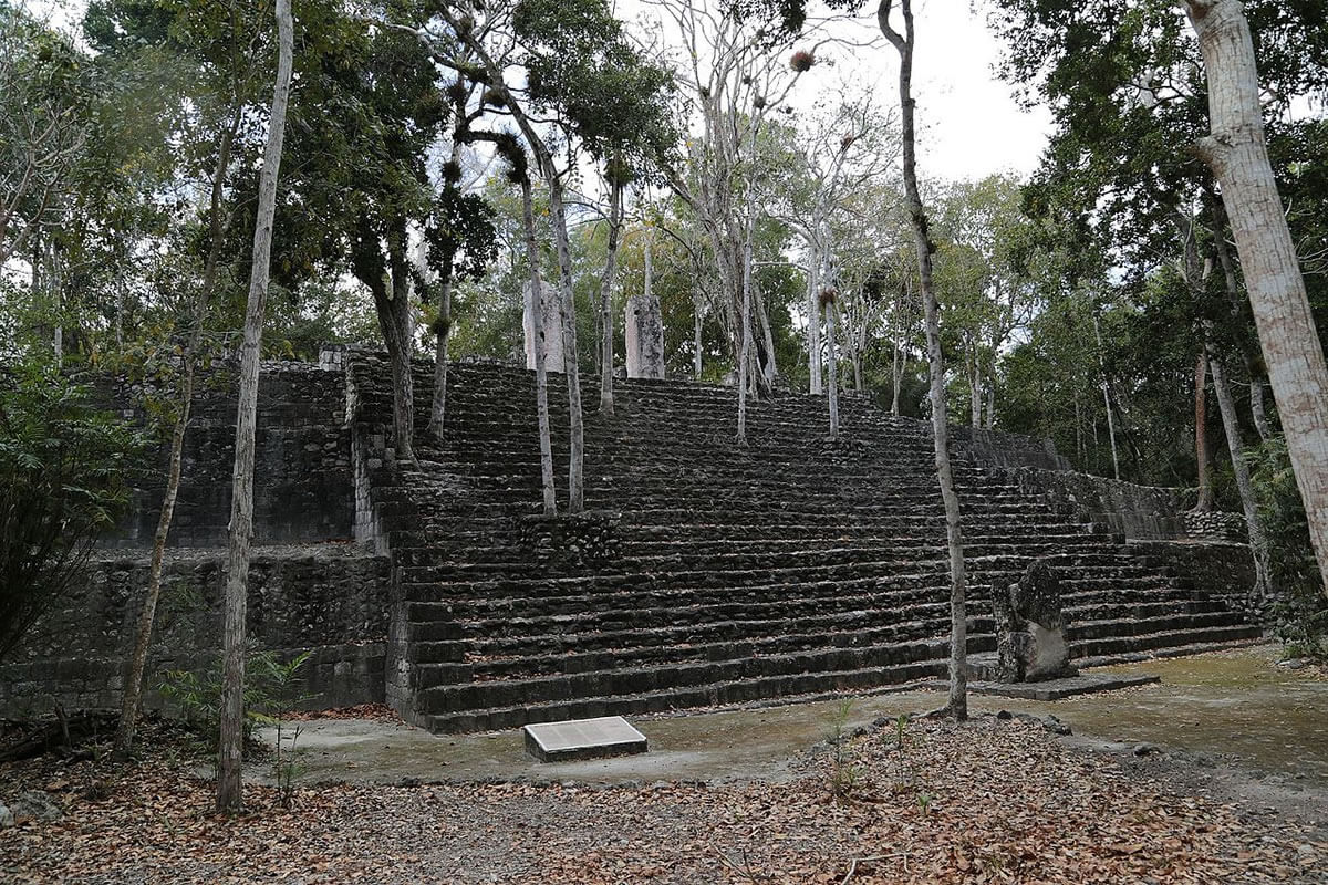 Calakmul: The Hidden Maya City and Its Breathtaking Biosphere Reserve ...