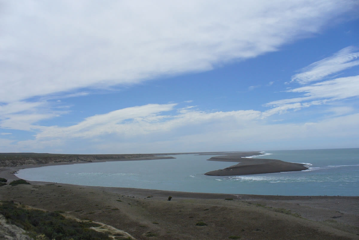 Valdés Peninsula: Patagonia's Jewel of Biodiversity & Conservation ...