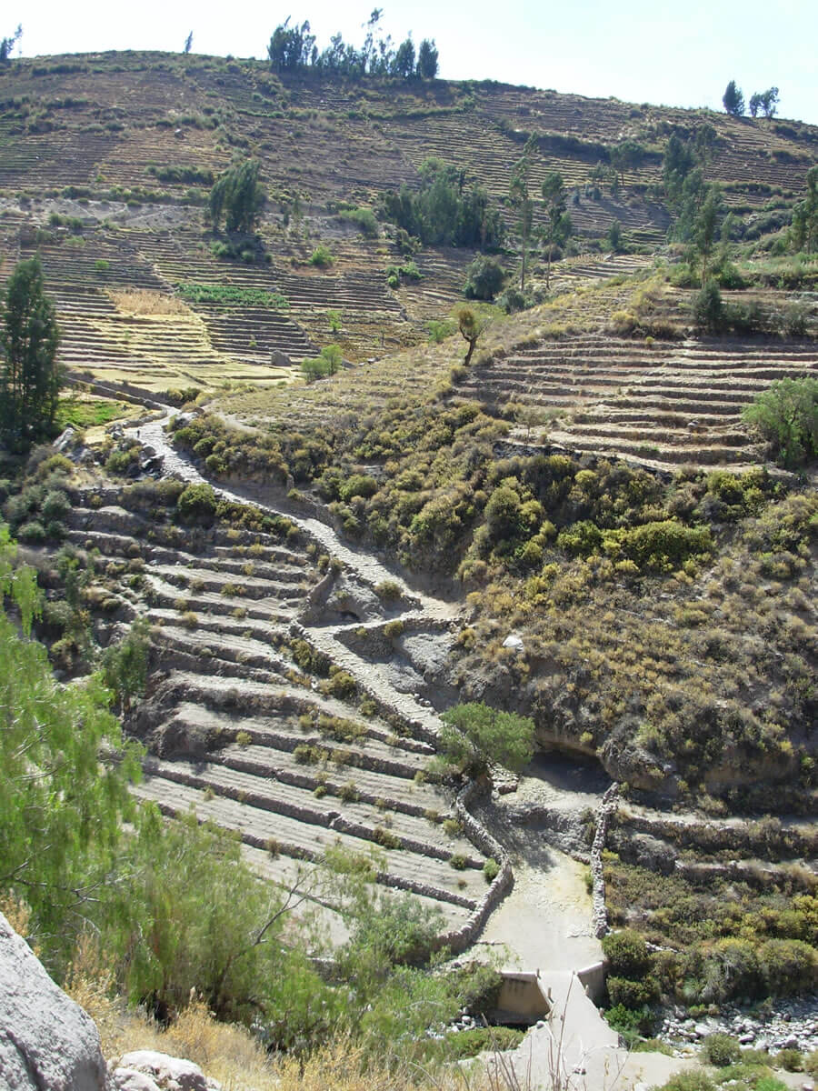The Qhapaq Ñan: Connecting the Inca Empire | LAC Geo