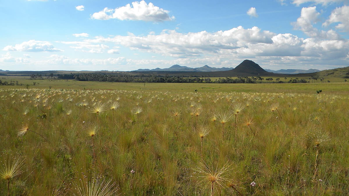 The Geography of Brazil: A Comprehensive Analysis | LAC Geo