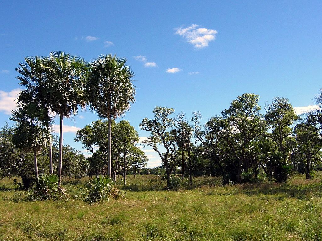 The Geography of Paraguay: A Comprehensive Analysis | LAC Geo