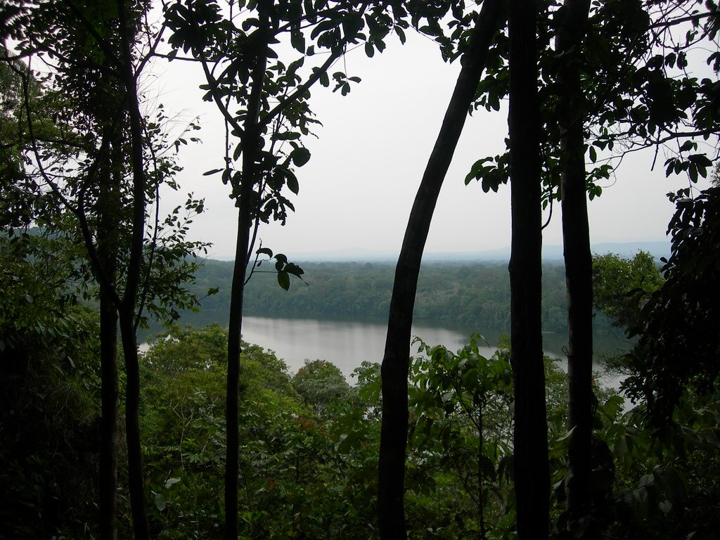 Madidi National Park: Bolivia's Biodiversity Oasis | LAC Geo