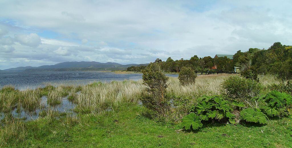 Chiloé National Park: Biodiversity & Beauty on Chiloé Island | LAC Geo