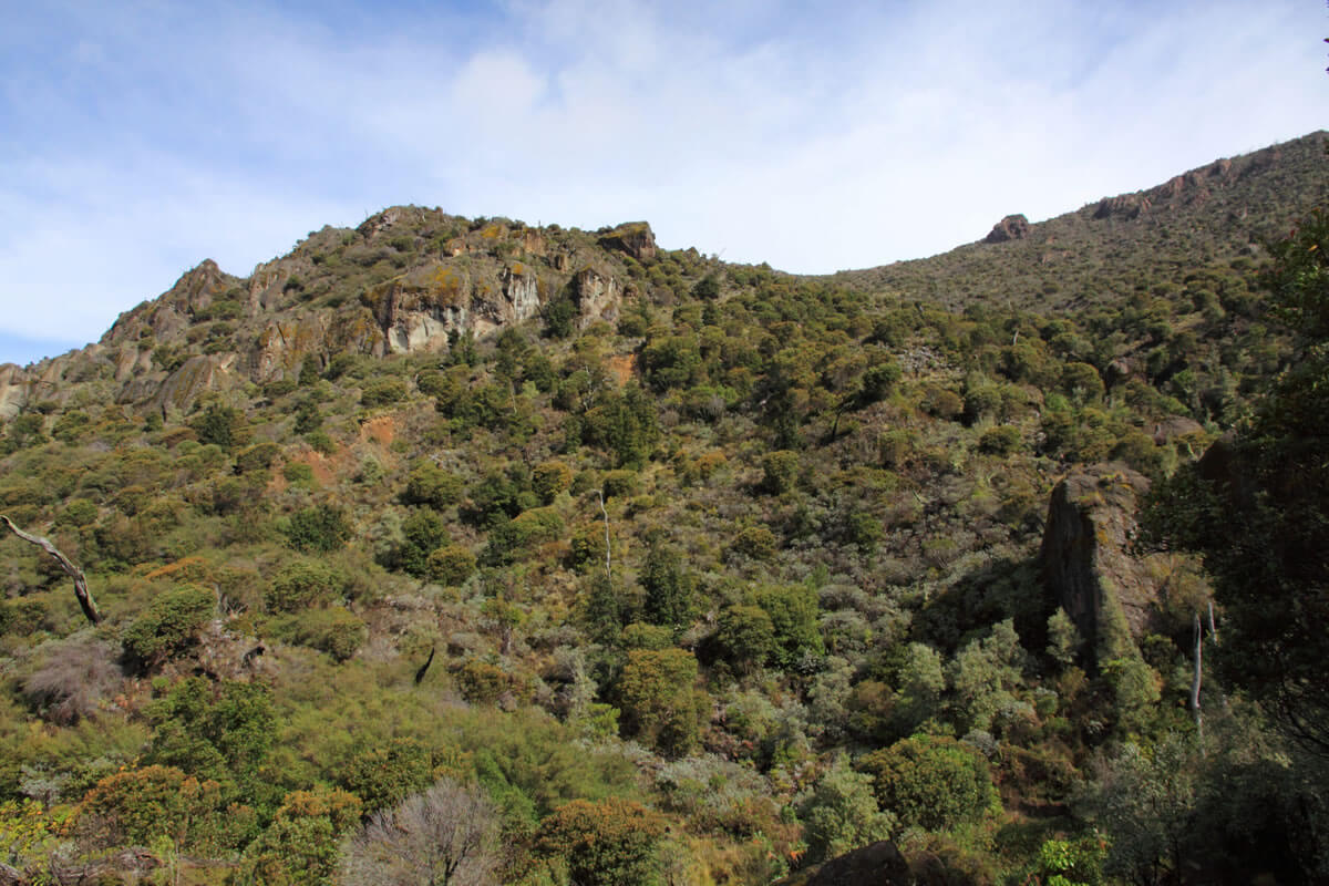 Mount Chirripó & Chirripó National Park: Costa Rica's Crowning Glories ...