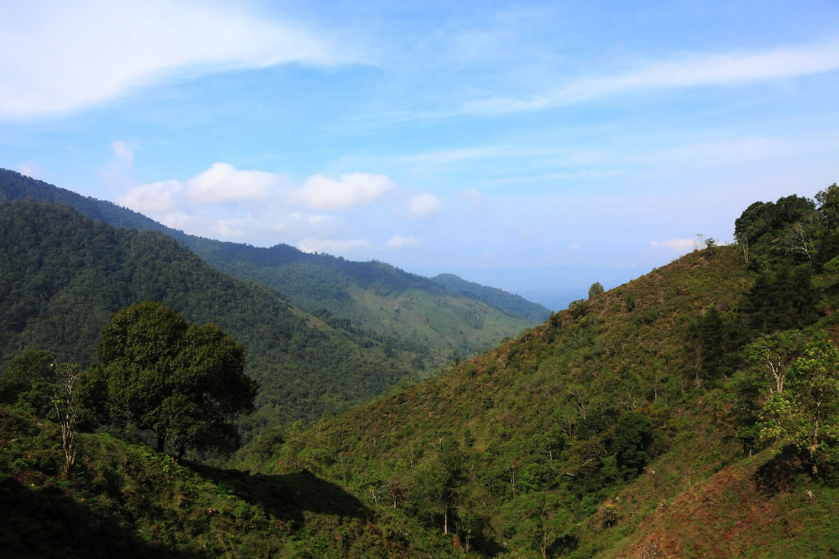 Mount Chirripó & Chirripó National Park: Costa Rica's Crowning Glories ...