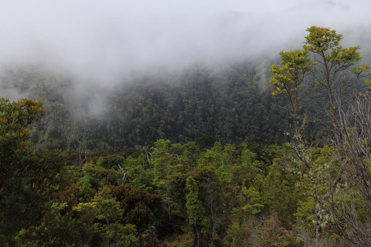Mount Chirripó & Chirripó National Park: Costa Rica's Crowning Glories ...