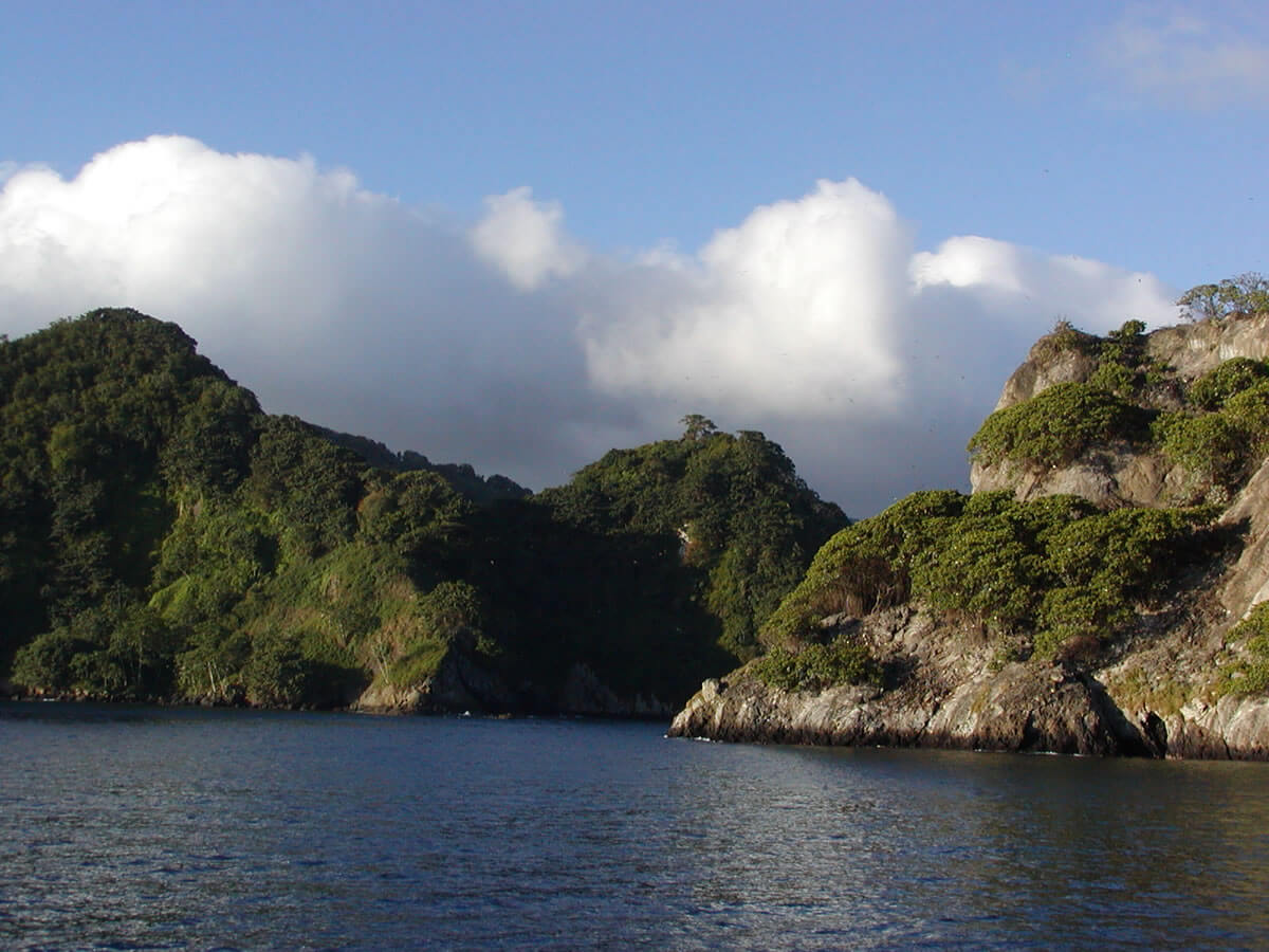 Cocos Island National Park: Pristine Sanctuary of the Pacific | LAC Geo