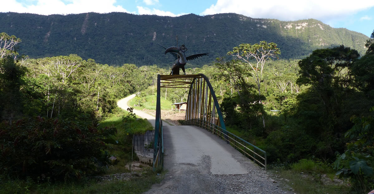 Podocarpus-El Condor Biosphere Reserve: Haven of Biodiversity | LAC Geo
