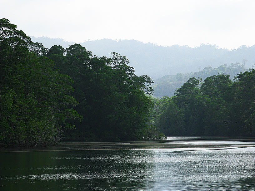 Darién National Park: A Bastion of Biodiversity & Cultural Heritage ...