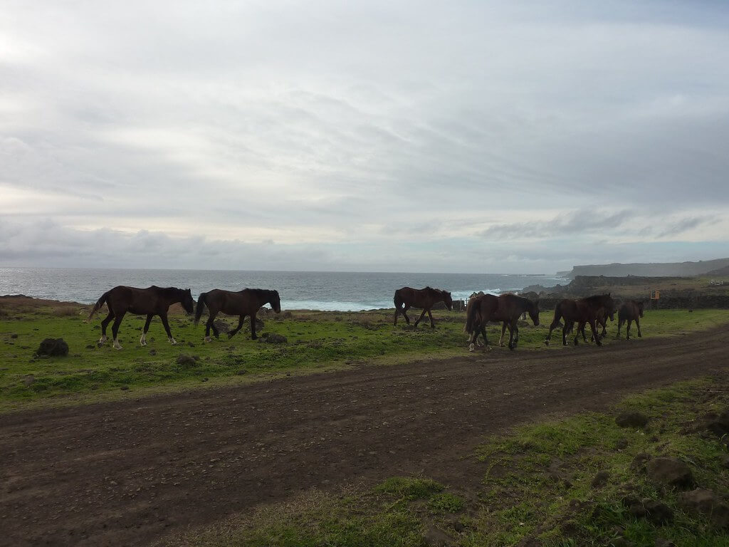 Easter Island: Unveiling the Mysteries of Rapa Nui | LAC Geo