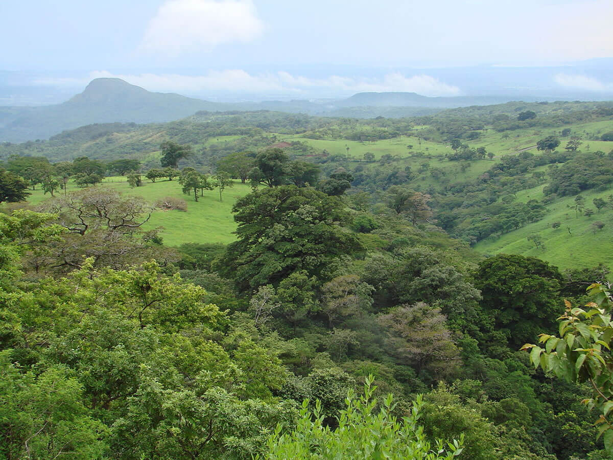 The Guanacaste Conservation Area: Costa Rica's Ecological Masterpiece ...