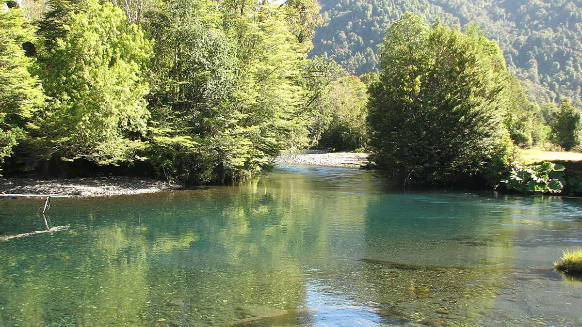 The Pristine Wilderness of Hornopirén National Park | LAC Geo