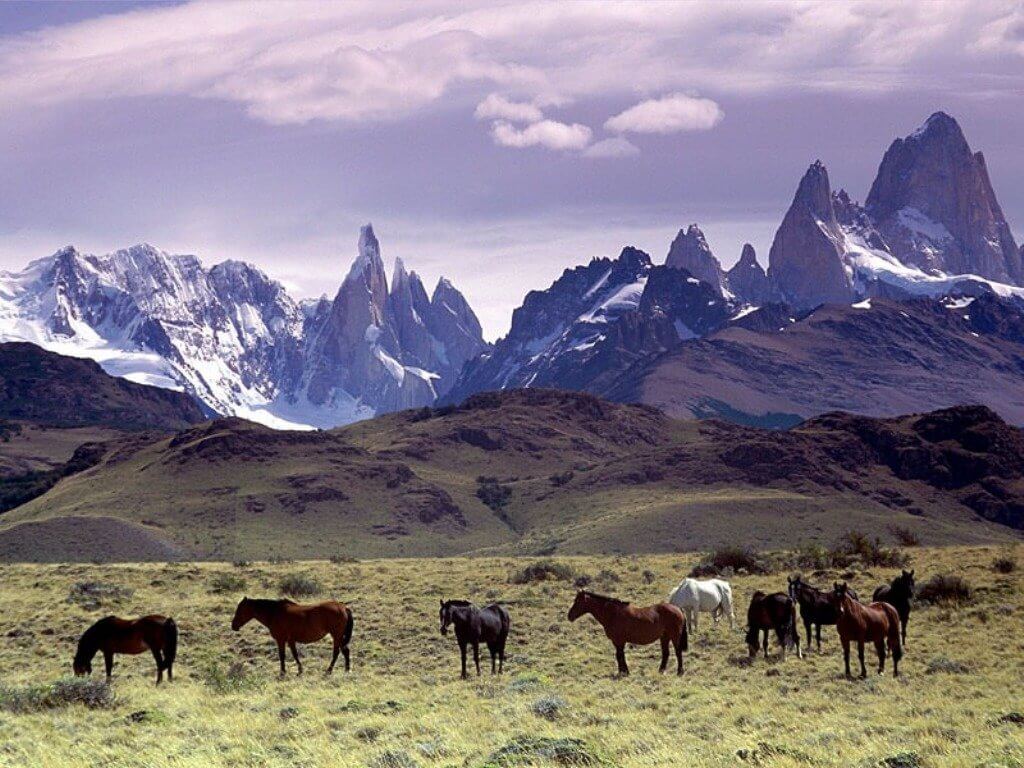 Patagonia: Nature's Last Frontier | LAC Geo