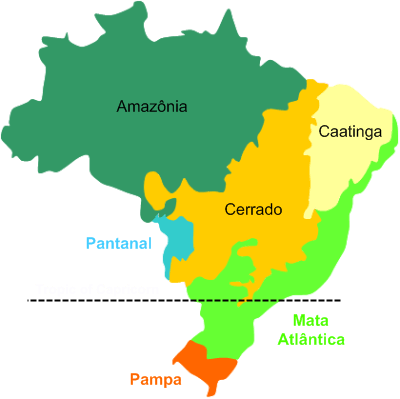 Cerrado: Tropical Savanna (South America) | LAC Geo