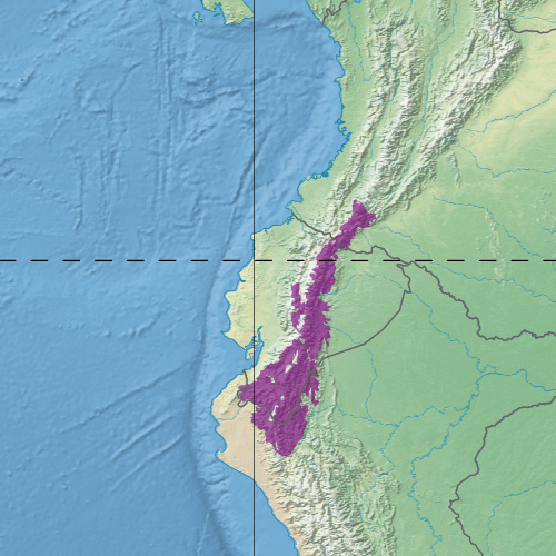 The Eastern Cordillera Real Montane Forests: Guardians of the Andes ...