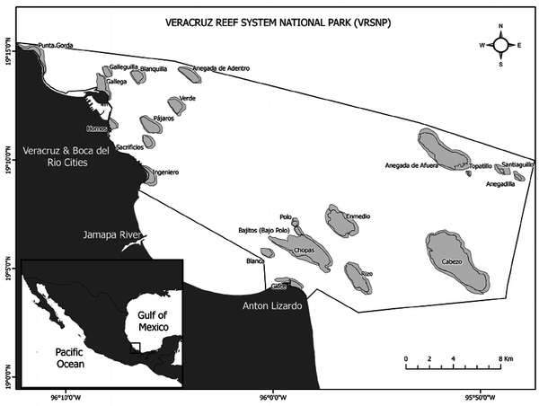 Veracruz Reef System: Guardians of Marine Biodiversity | LAC Geo