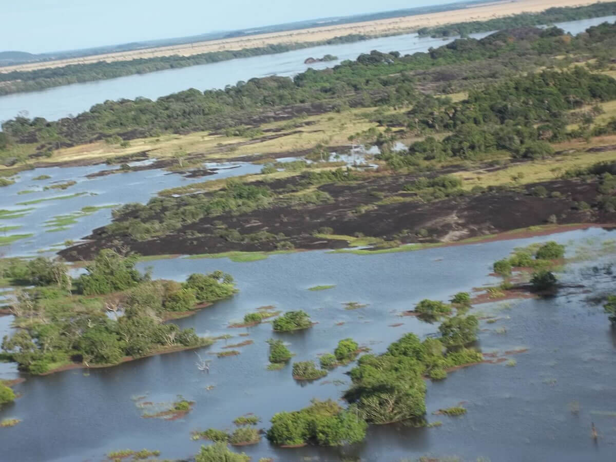 Orinoco Wetlands Ecoregion (Venezuela) | LAC Geo