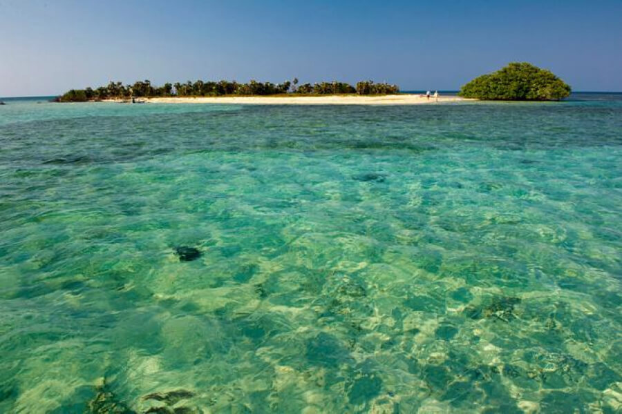Jardines de la Reina: Cuba's Spectacular Marine Sanctuary | LAC Geo