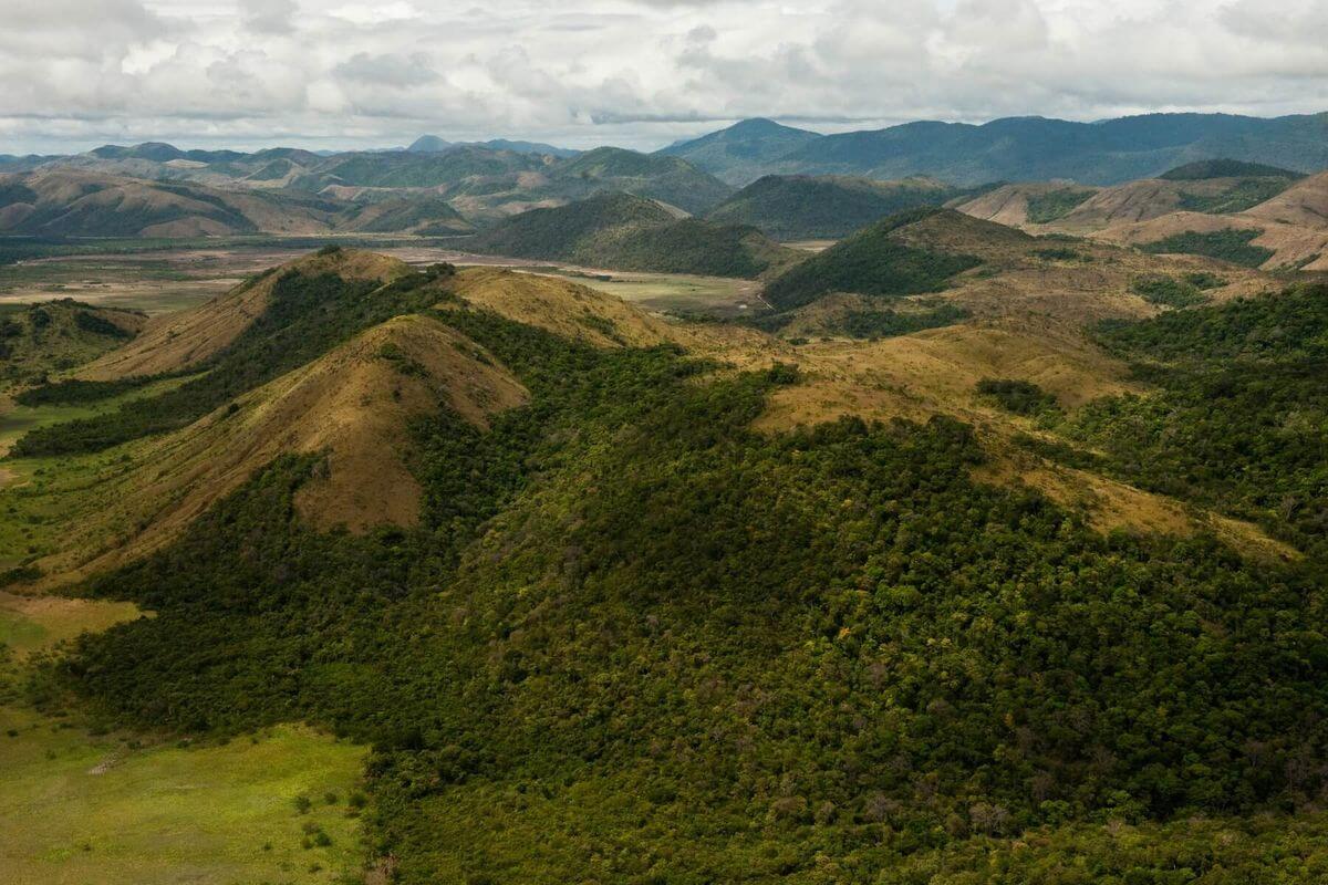 The Geography of Guyana: A Comprehensive Analysis | LAC Geo