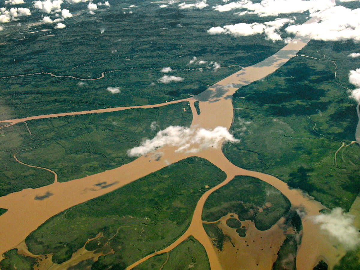 Delta del Paraná Biosphere Reserve: Vital Hub of Biodiversity | LAC Geo