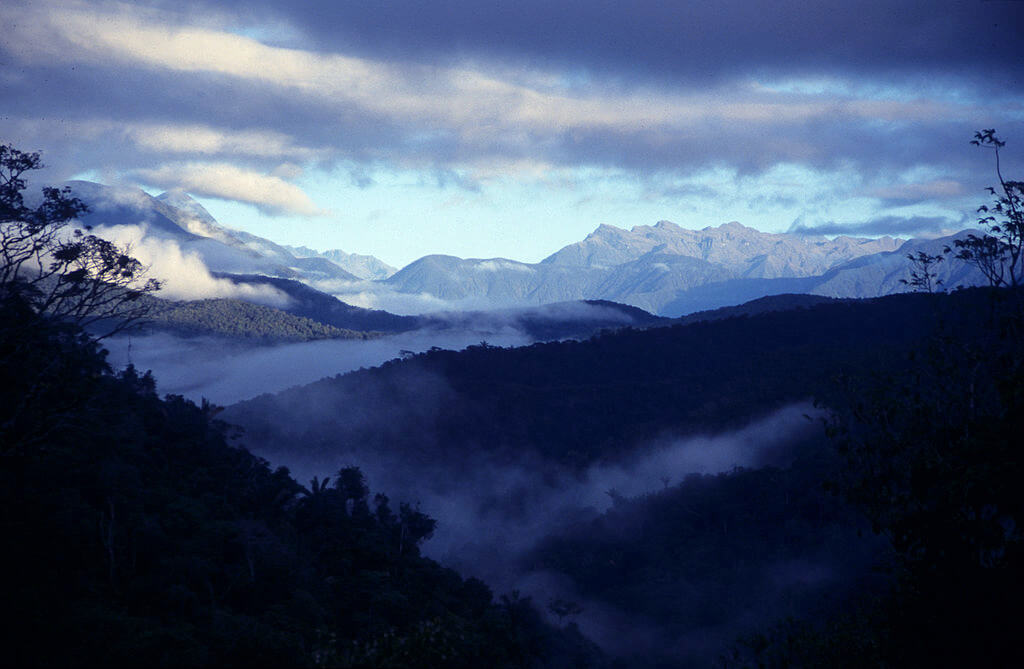 Madidi National Park: Bolivia's Biodiversity Oasis | LAC Geo