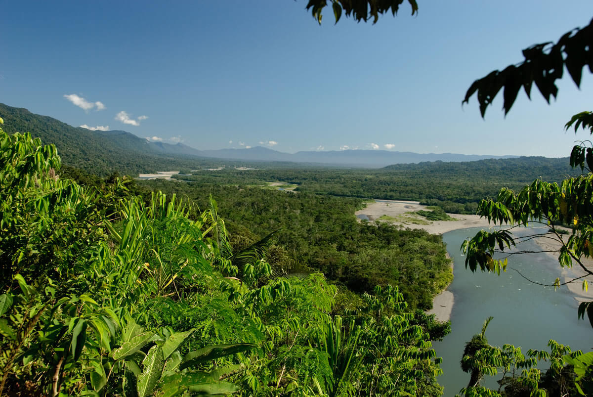 Manú National Park: Where Andes Meet Amazon | LAC Geo