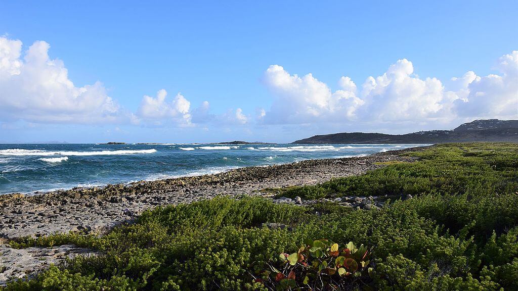 Saint-Martin National Nature Reserve: Preserving the Jewel of the ...