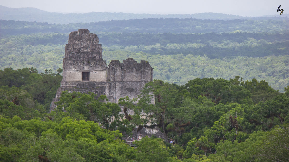Maya Biosphere Reserve: Guatemala's Crown Jewel | LAC Ge