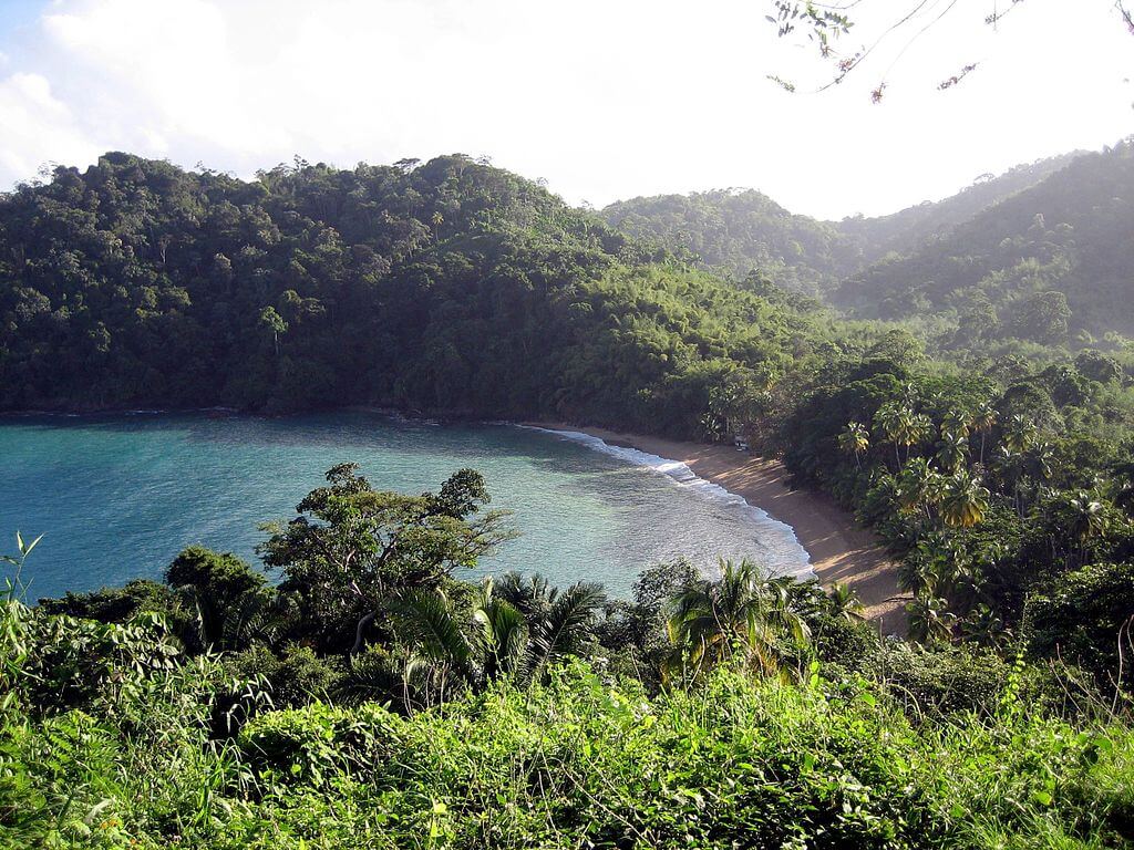 The Diverse & Captivating Trinidad & Tobago Moist Forests | LAC Geo