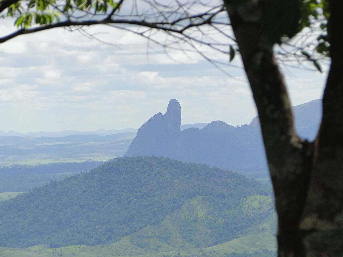 Preservation of Biodiversity: Discovery Coast Atlantic Forest Reserves ...