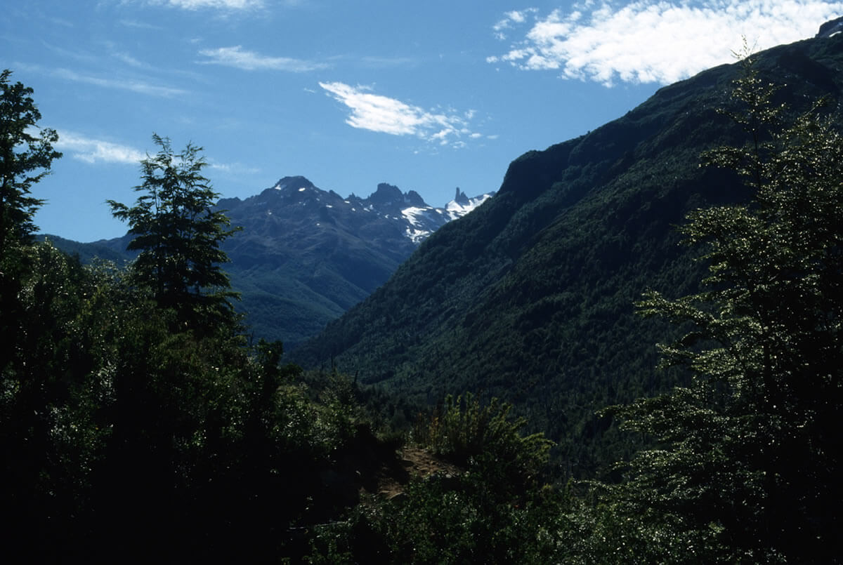 Lago Puelo National Park: Heart of Patagonia's Wilderness | LAC Geo