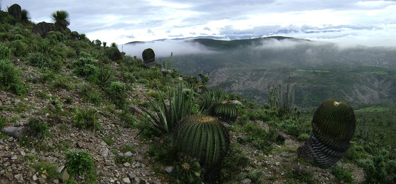 Tehuacán-Cuicatlán Valley: Nexus of Ecology & Culture | LAC Geo
