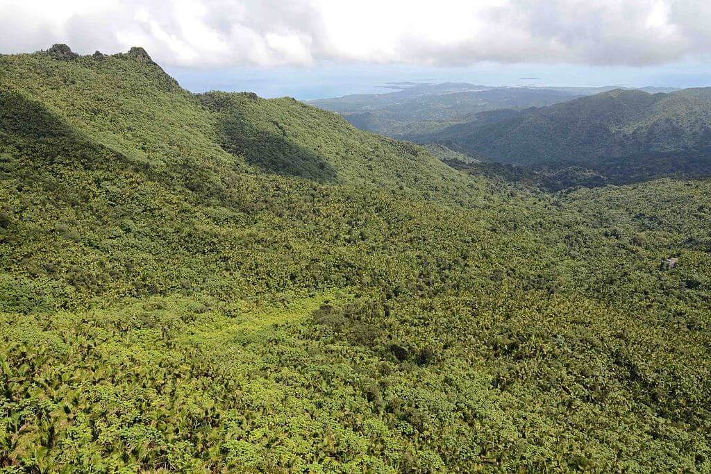 Puerto Rico's Ecoregions: A Tapestry of Life | LAC Geo