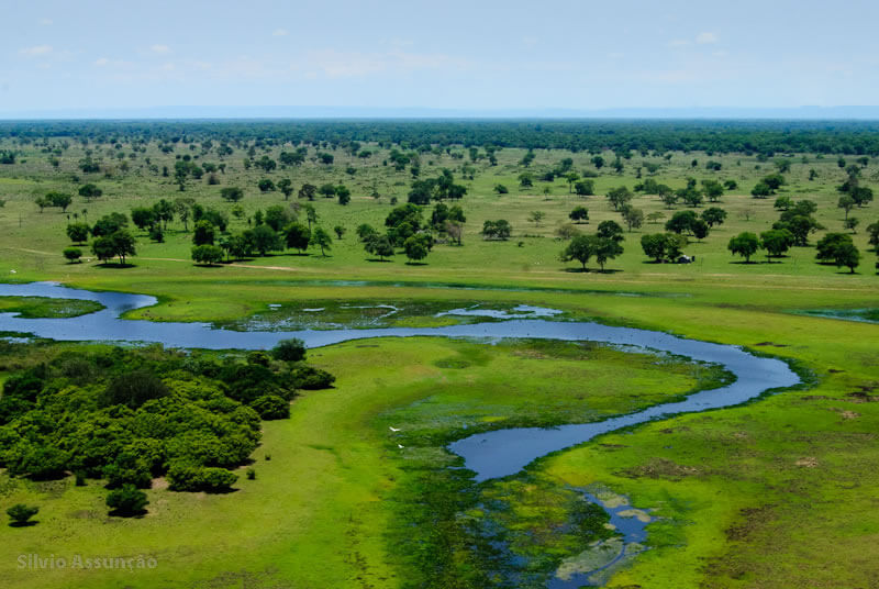 Pantanal Conservation Area: Sanctuary for Wildlife and Wetlands | LAC Geo