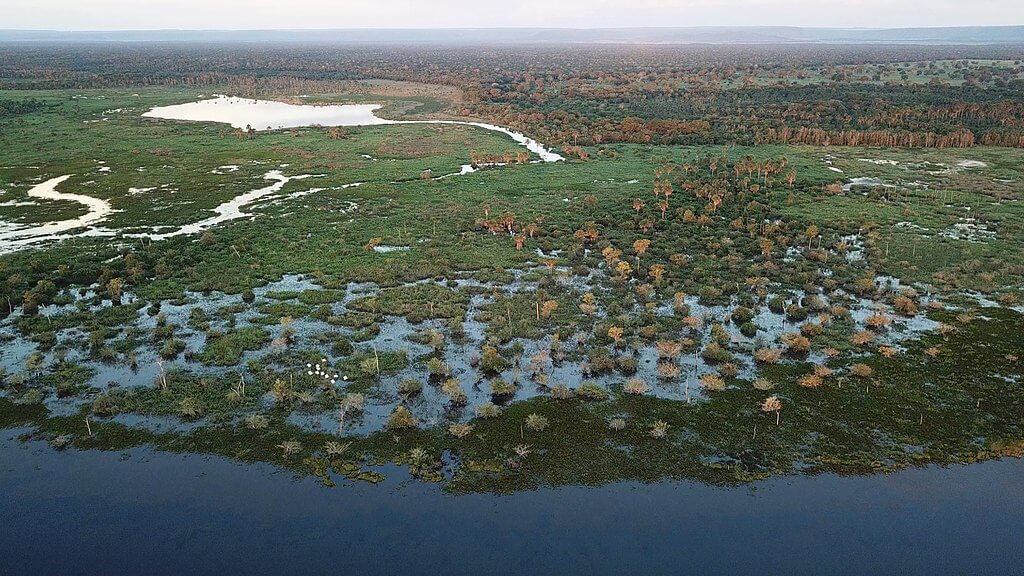 The Pantanal: A Wetland Eden of Biodiversity | LAC Geo