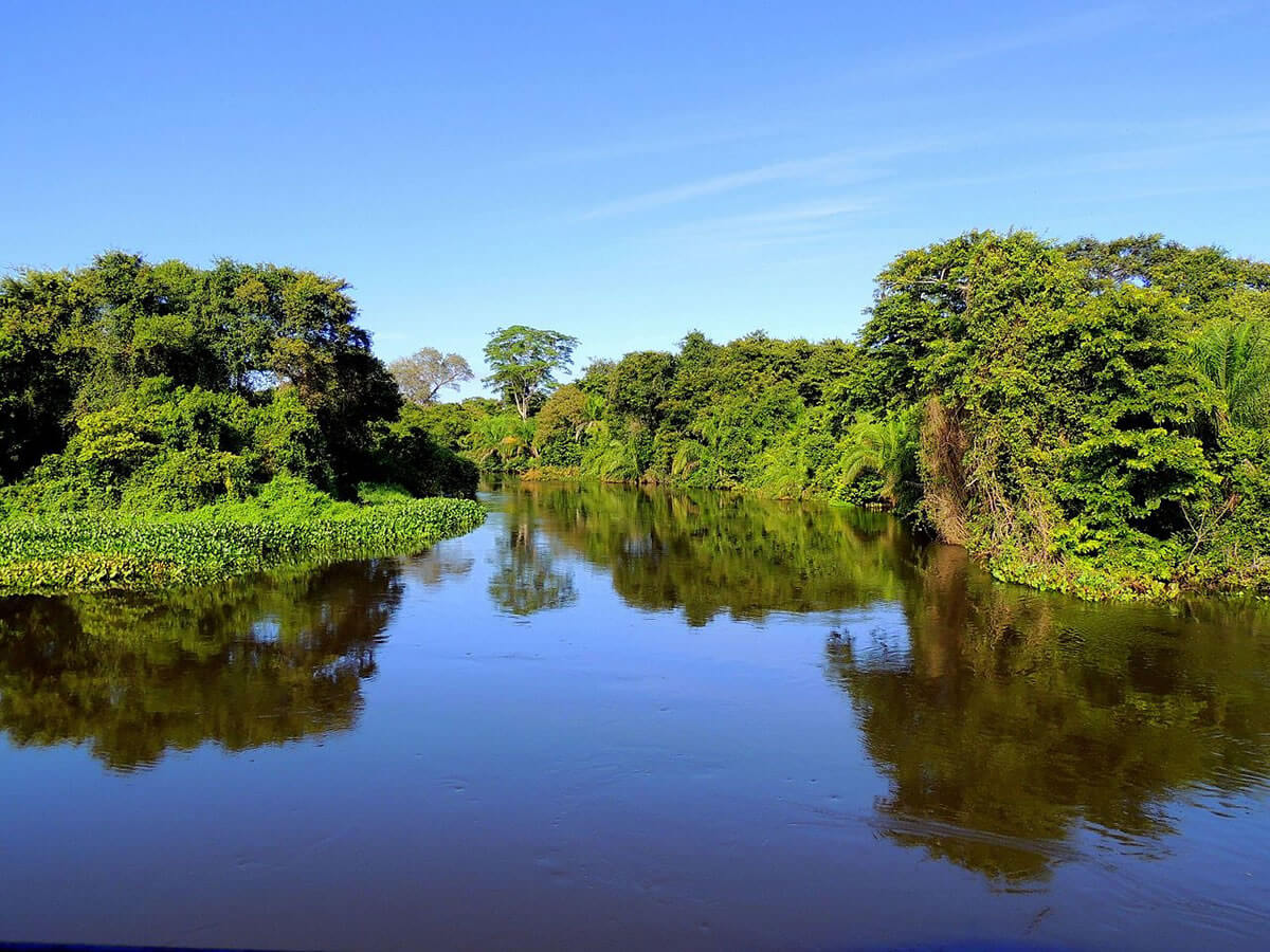 Pantanal Conservation Area: Sanctuary for Wildlife and Wetlands | LAC Geo