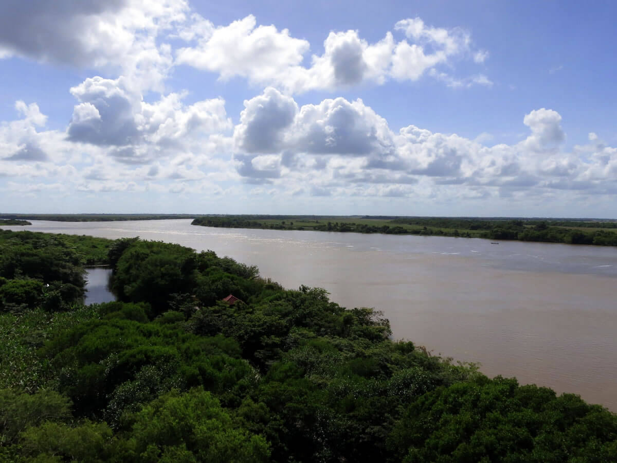 Pantanos de Centla Biosphere Reserve: Mexico's Wetland Haven | LAC Geo